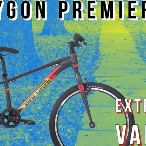 Guardian 20 Inch Large Bike Review - The Bike Dads